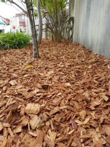 Red Gum Chip – W A & J King Pty Ltd